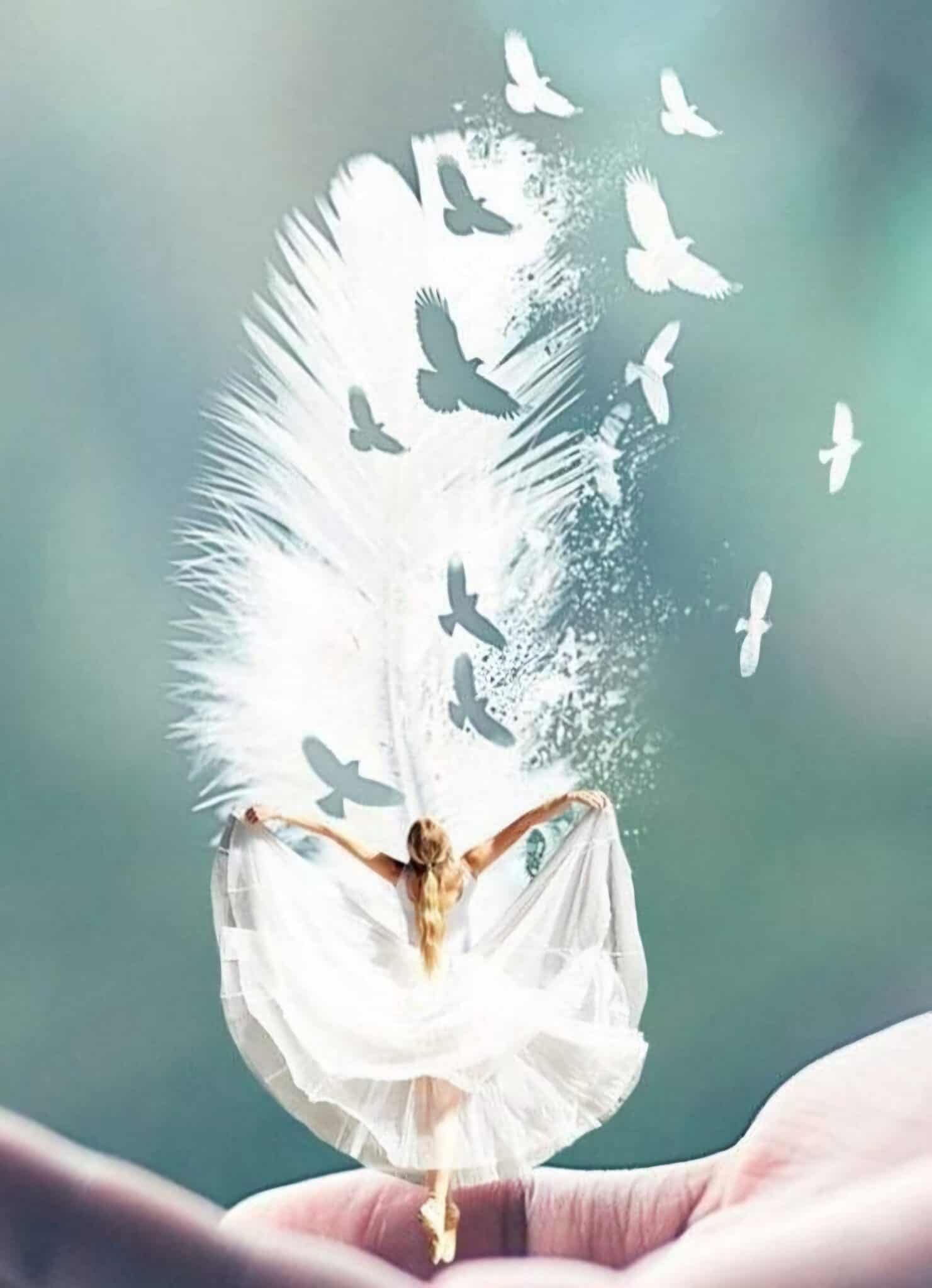 Academie voor Holistisch Coachen